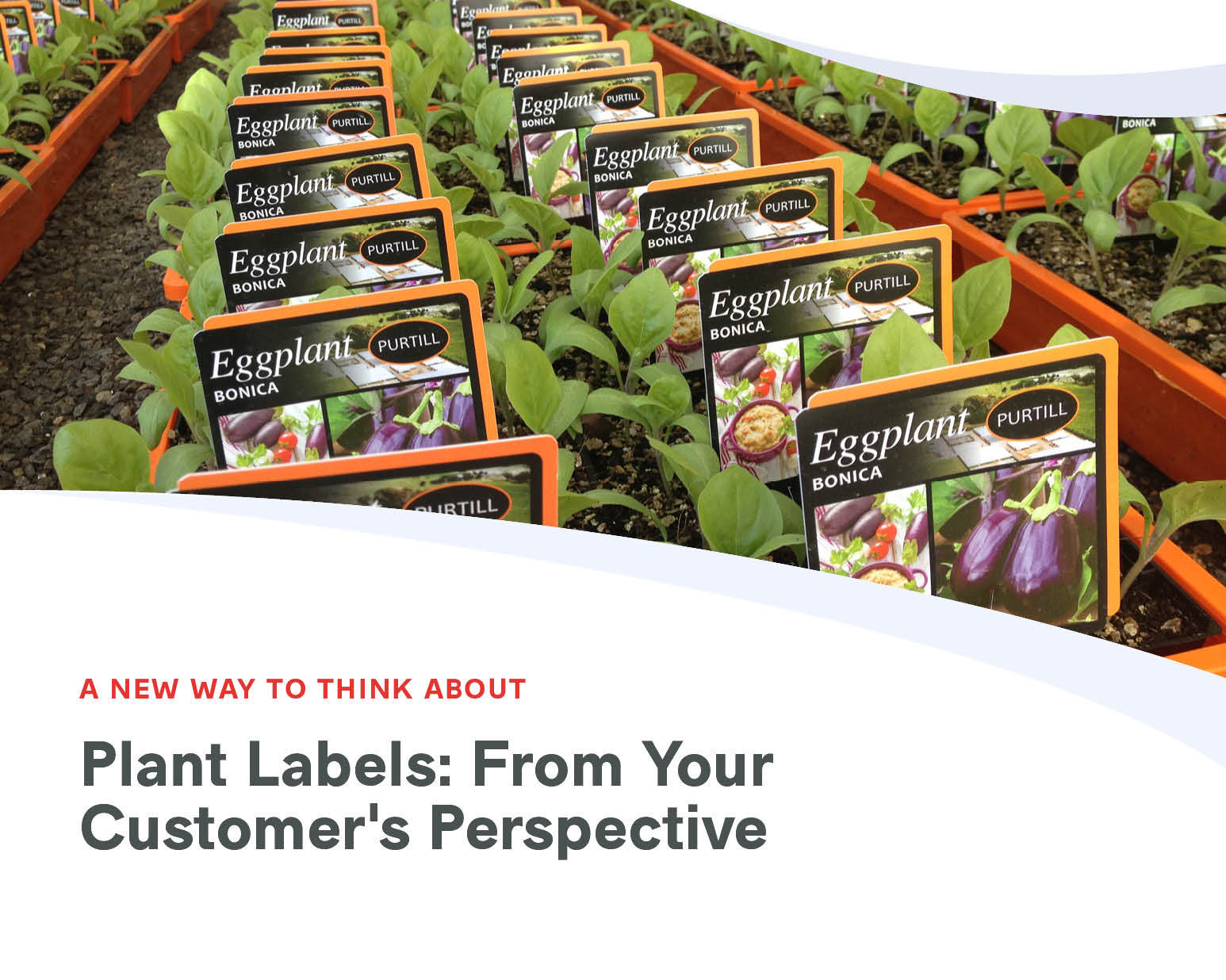 A New Way to Think About Plant Labels: From Your Customer's Perspective